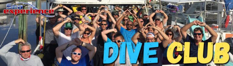 Sea Experience Dive Club | Dive Community in South Florida
